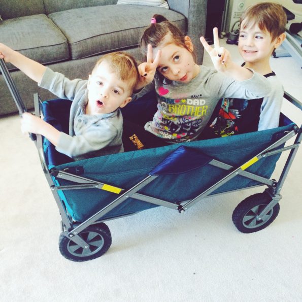 Visiting the Toronto Zoo In the Winter - Amidst the Chaos