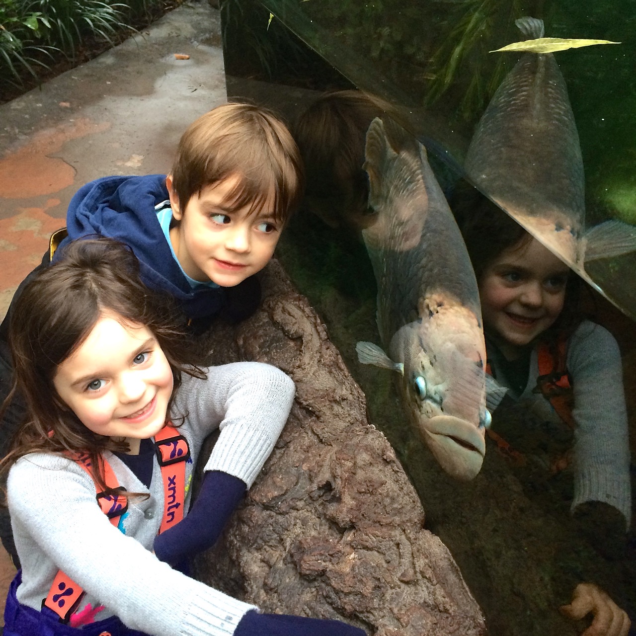 Visiting the Toronto Zoo In the Winter - Amidst the Chaos