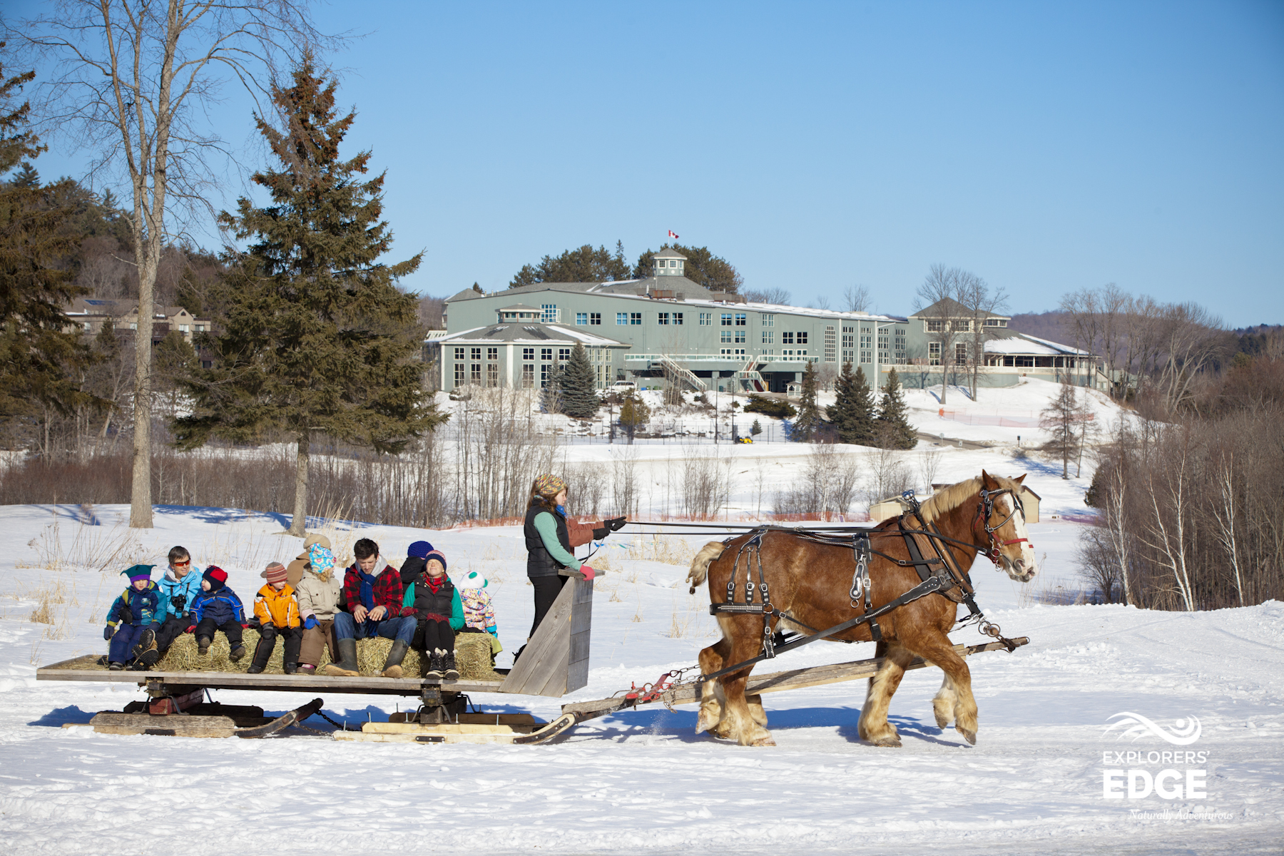 Deerhurst Resort March Break Special Offer - Amidst the Chaos