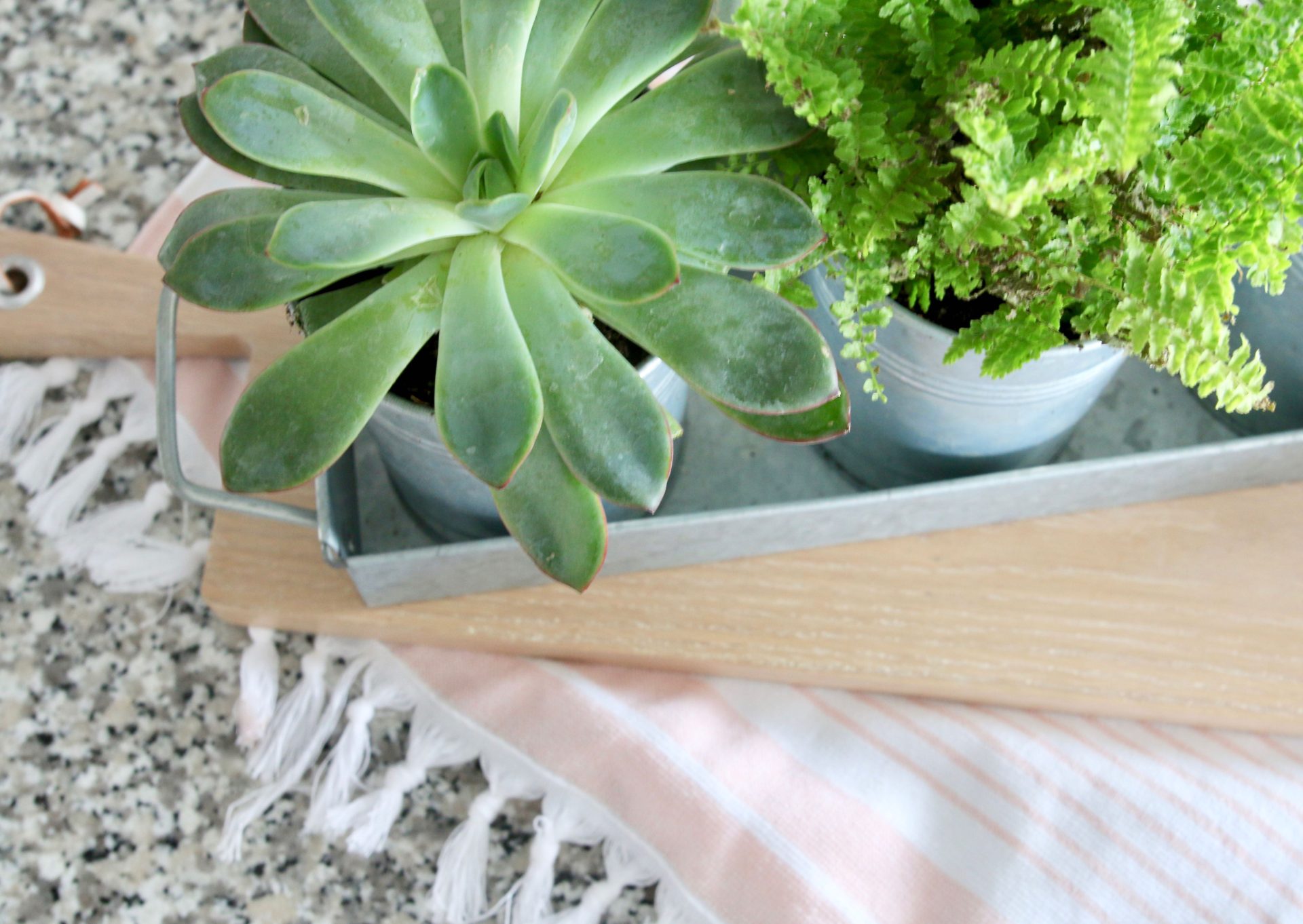 The Perfect Kitchen Planter - Amidst the Chaos