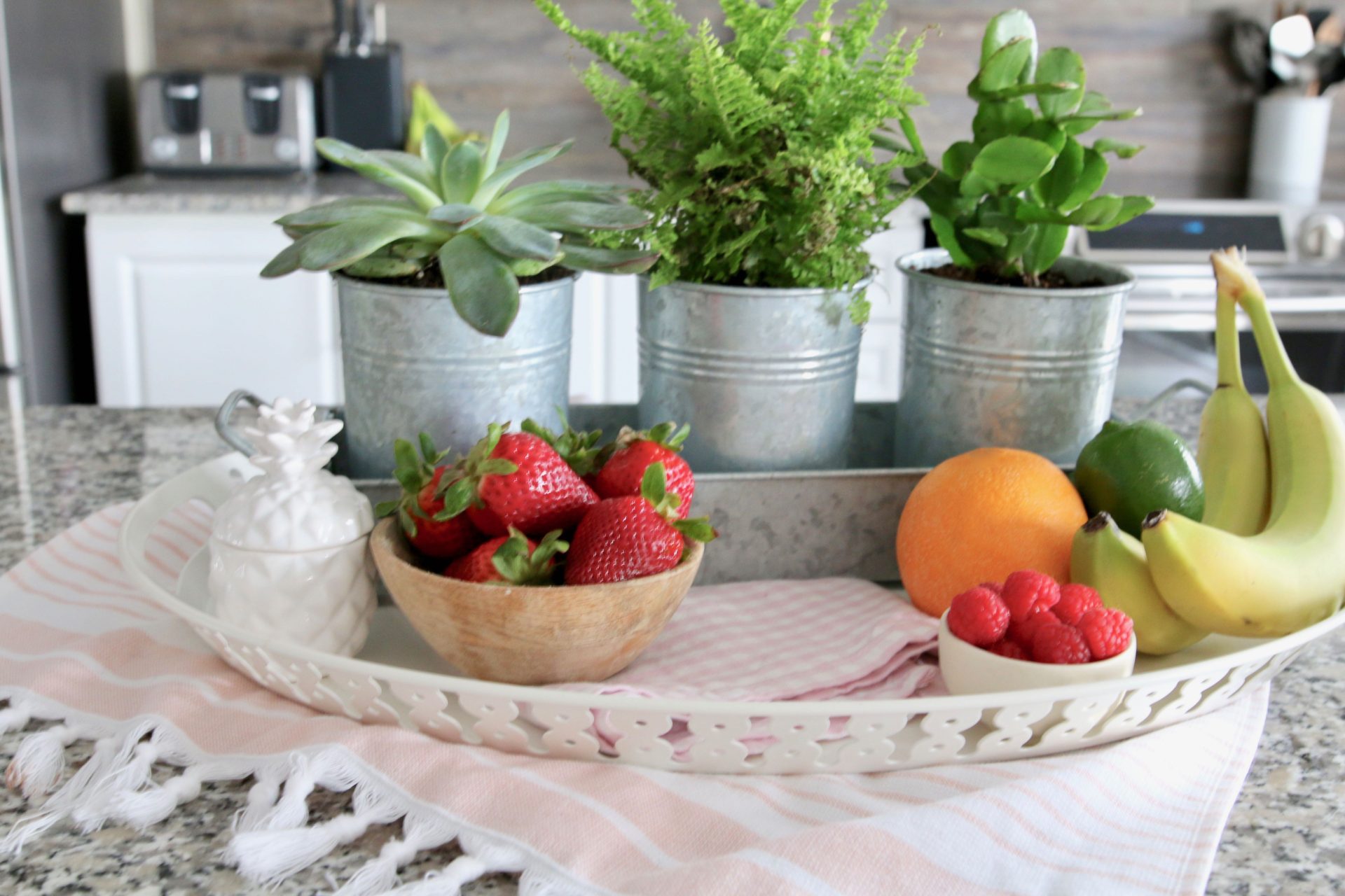 The Perfect Kitchen Planter - Amidst the Chaos