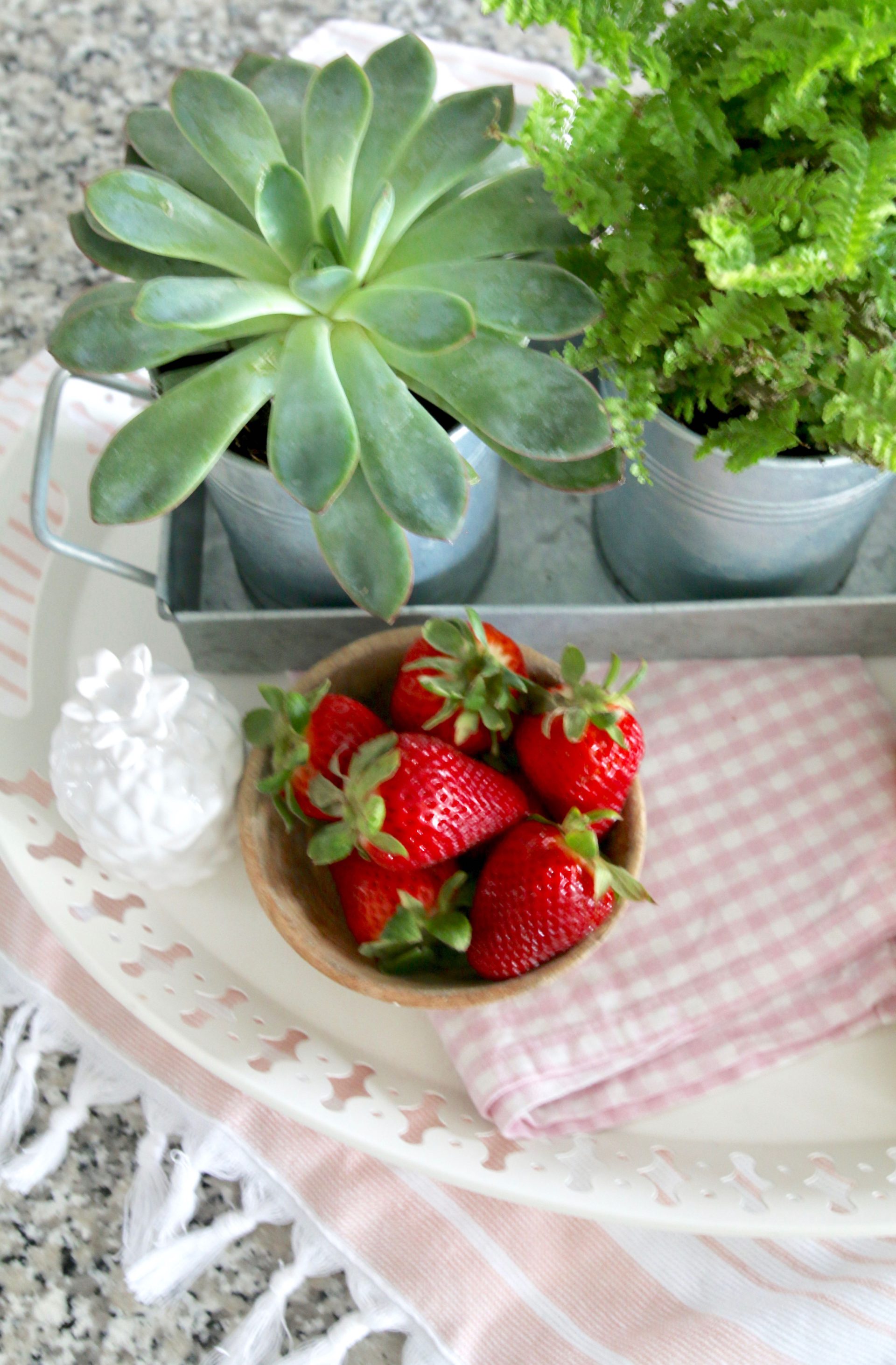 The Perfect Kitchen Planter - Amidst the Chaos