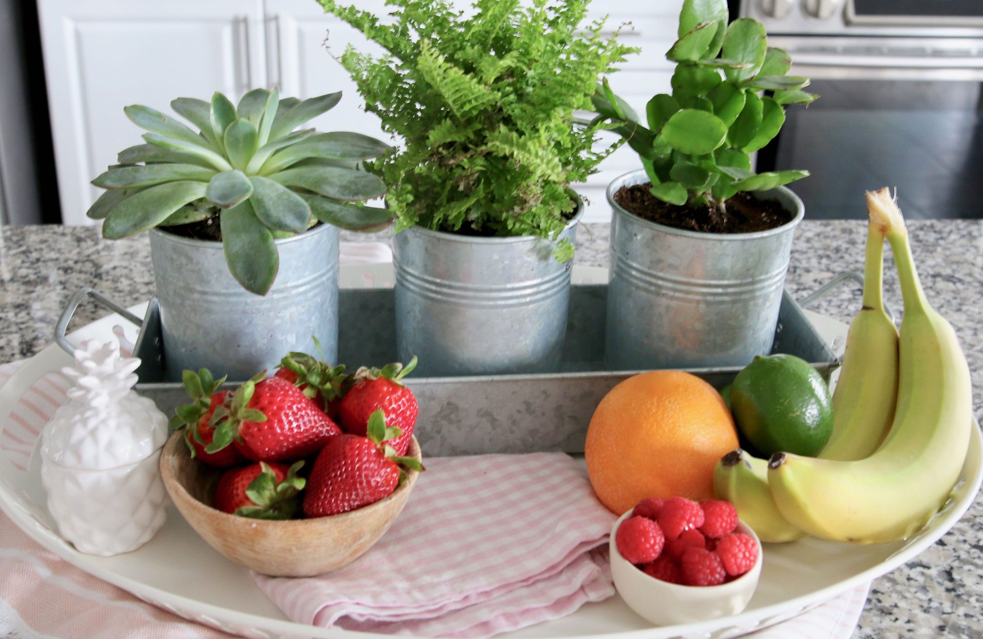 The Perfect Kitchen Planter - Amidst the Chaos