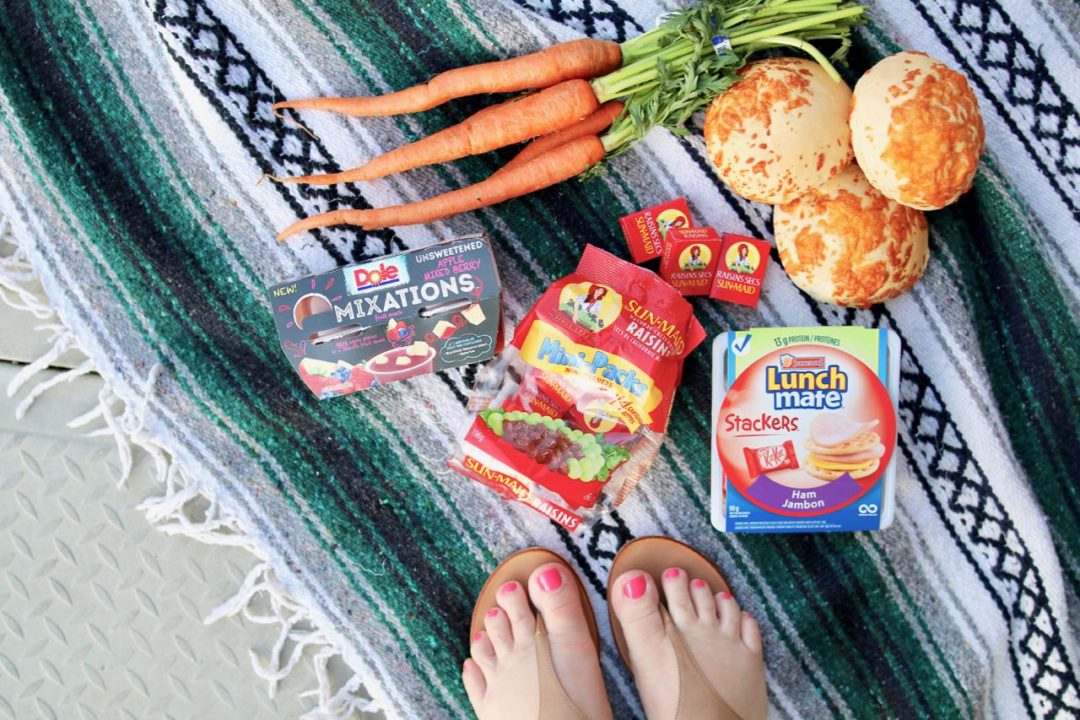 Kids Snacks Made Affordable at FreshCo - Amidst the Chaos