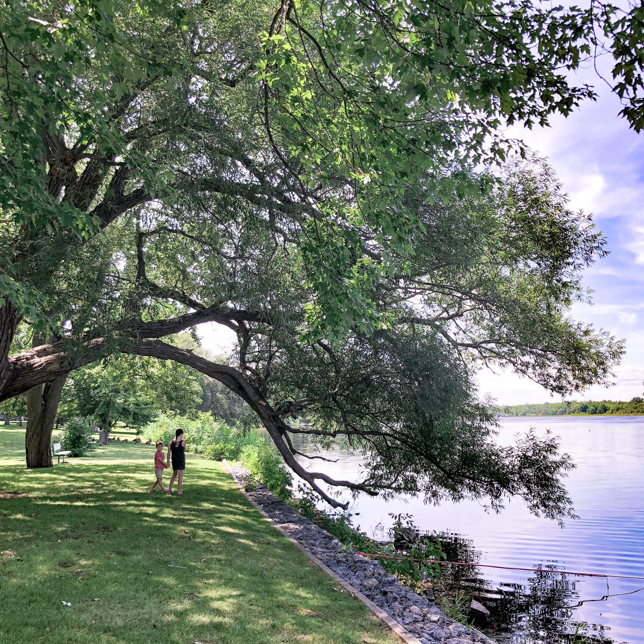 Wandering through the Ontario Highlands - Amidst the Chaos