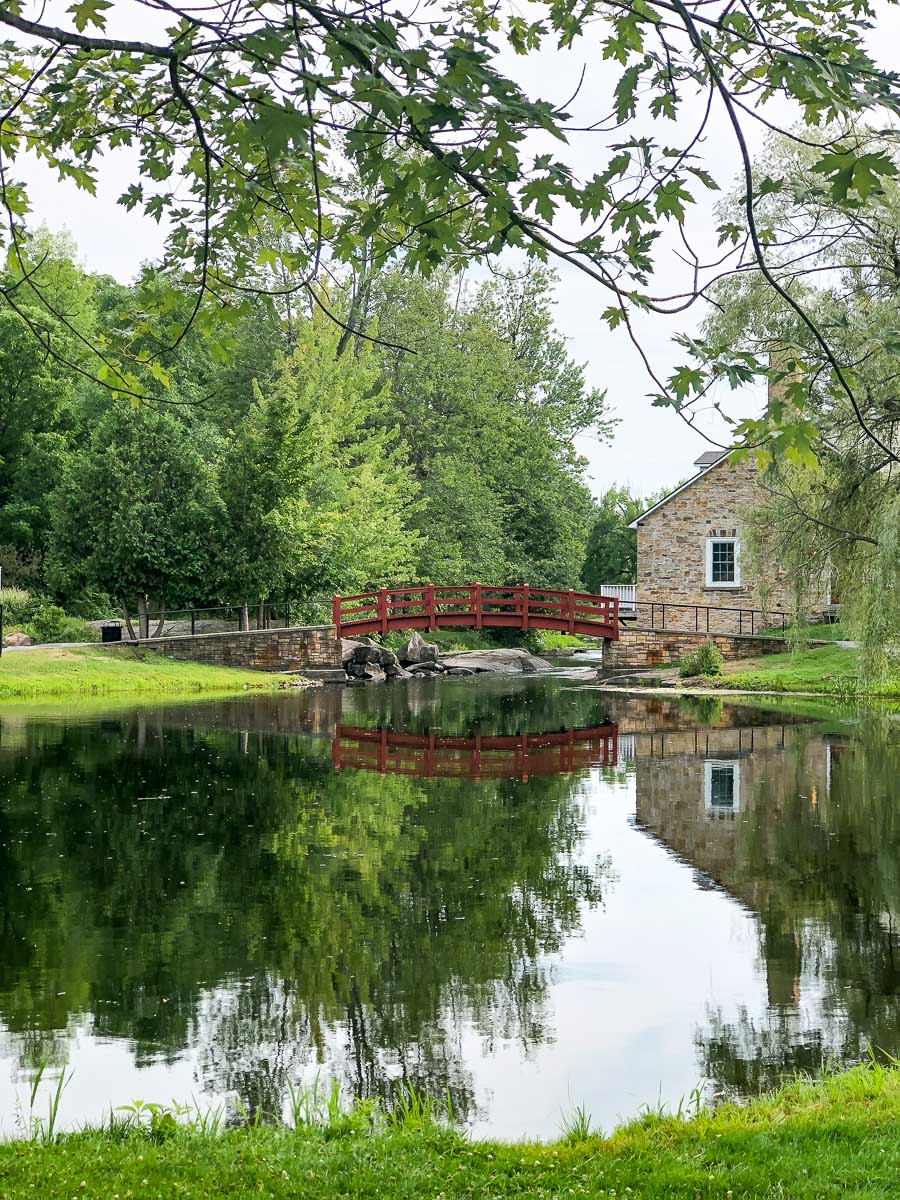 Wandering through the Ontario Highlands - Amidst the Chaos